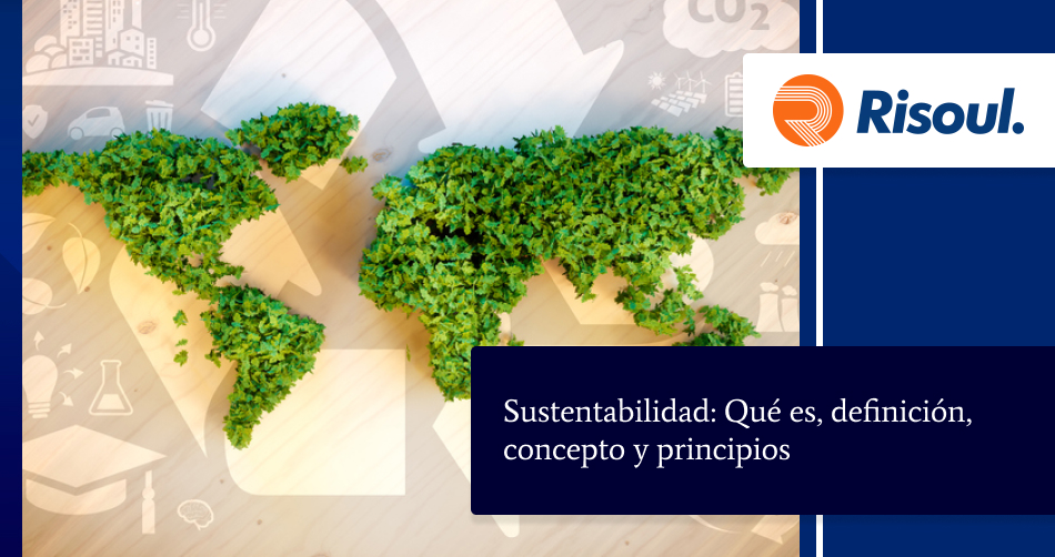 Sustentabilidad: Qué es, definición, concepto y principios