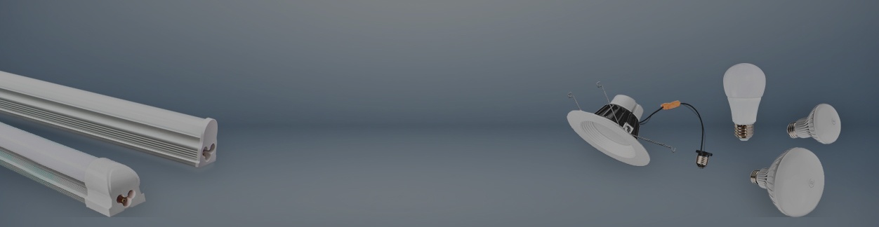 Distribuidor de productos Forest Lighting