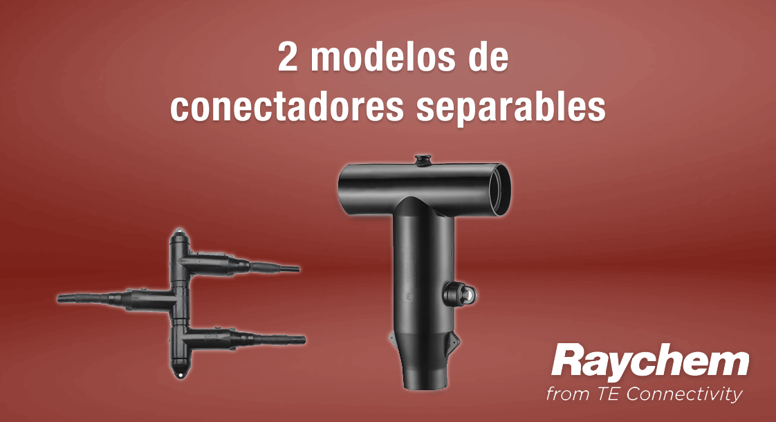 Blog Risoul | Staff Risoul